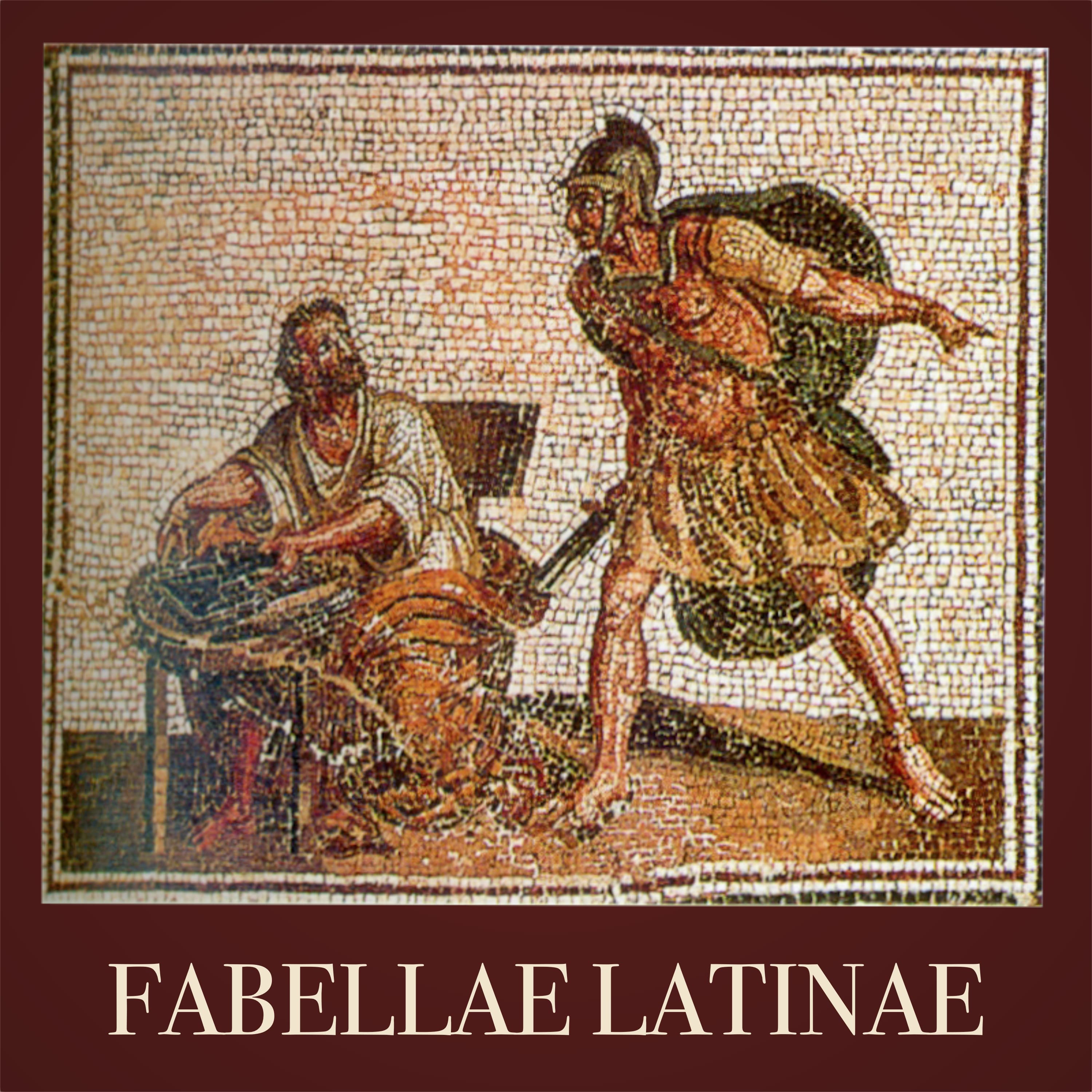 Wright Access - Fabellae Latinae Capitulum XIII